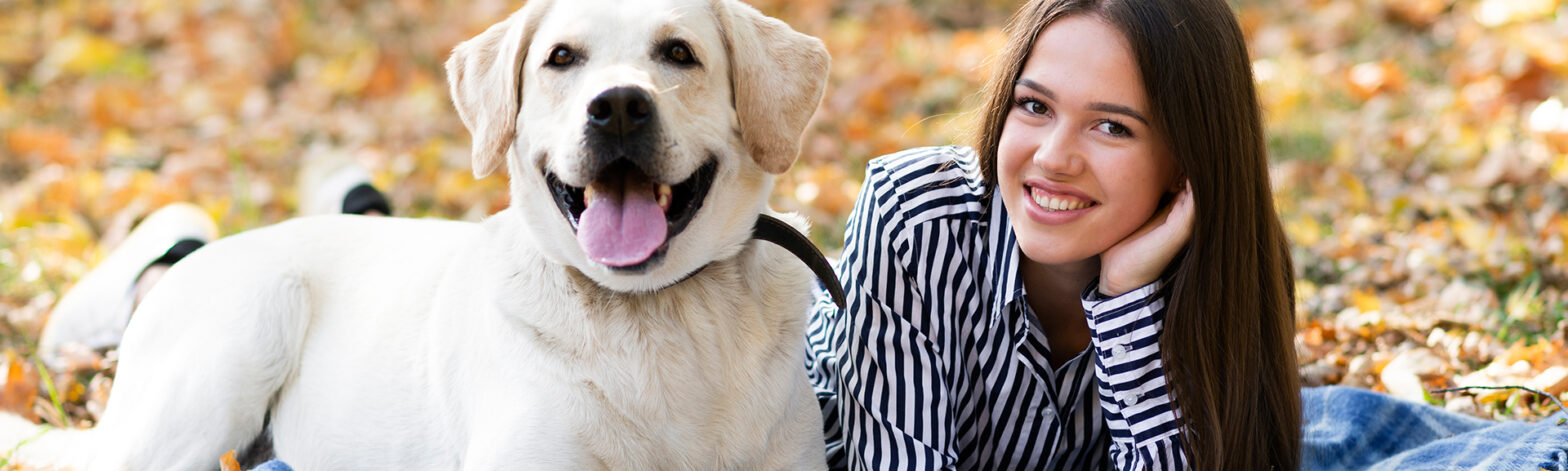 Free Resources – Caitlin Coberly Academy for Dogs and Humans